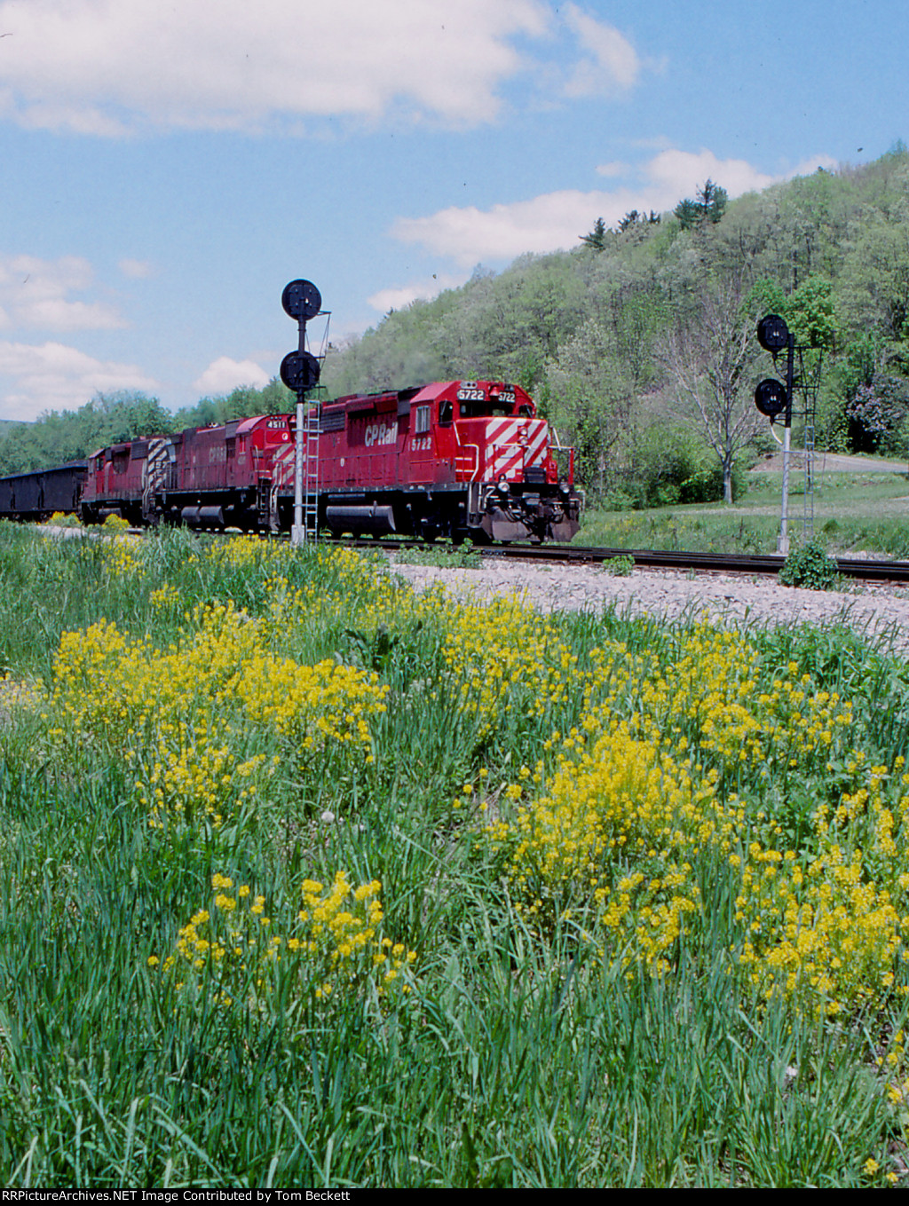 270 in the flowers